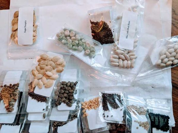 Need Seeds - 10 Places to Get Quality, Cheap Seeds - Bunny's Garden