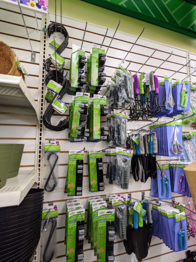 Dollar Tree Gardening: Awesome Finds for Your Garden - Bunny's Garden