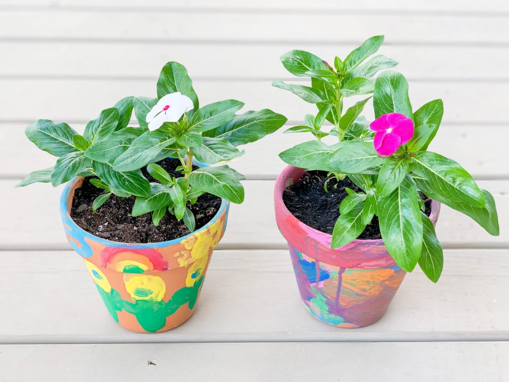 15 Earth Day Activities for Your Garden - Bunny's Garden