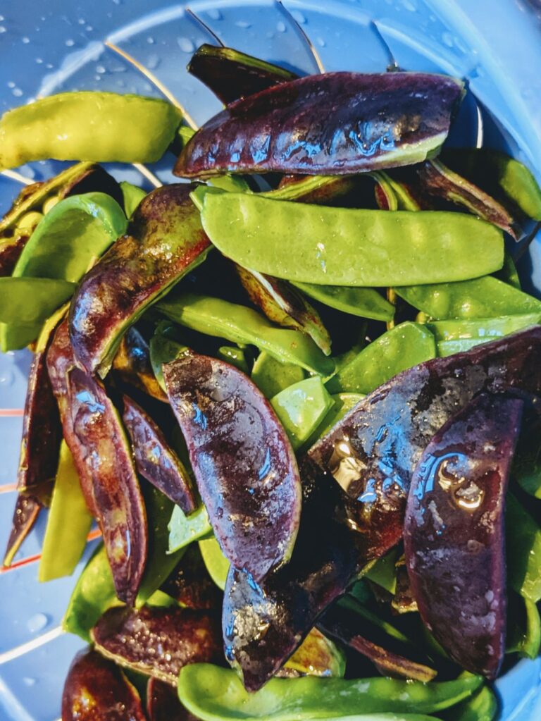 How to Plant Snow Peas | Growing Snow Pea Plants from Seed