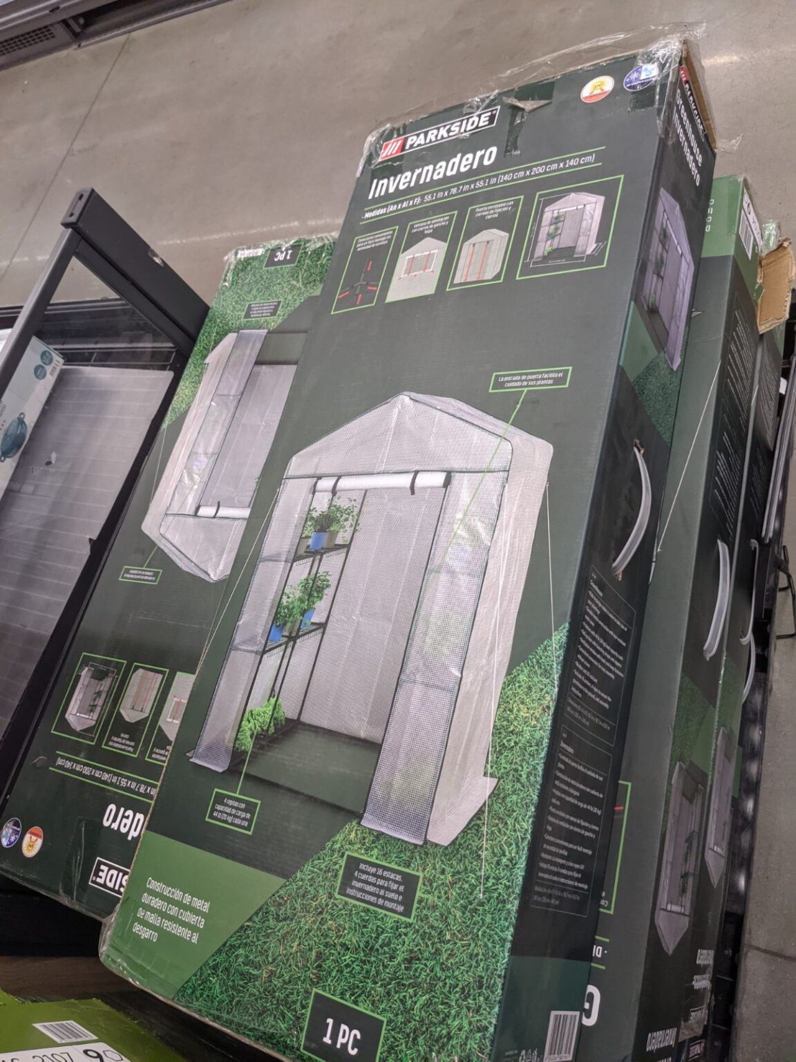 LIDL Garden Finds – Outdoor Plants, Flowers & More - Bunny's Garden