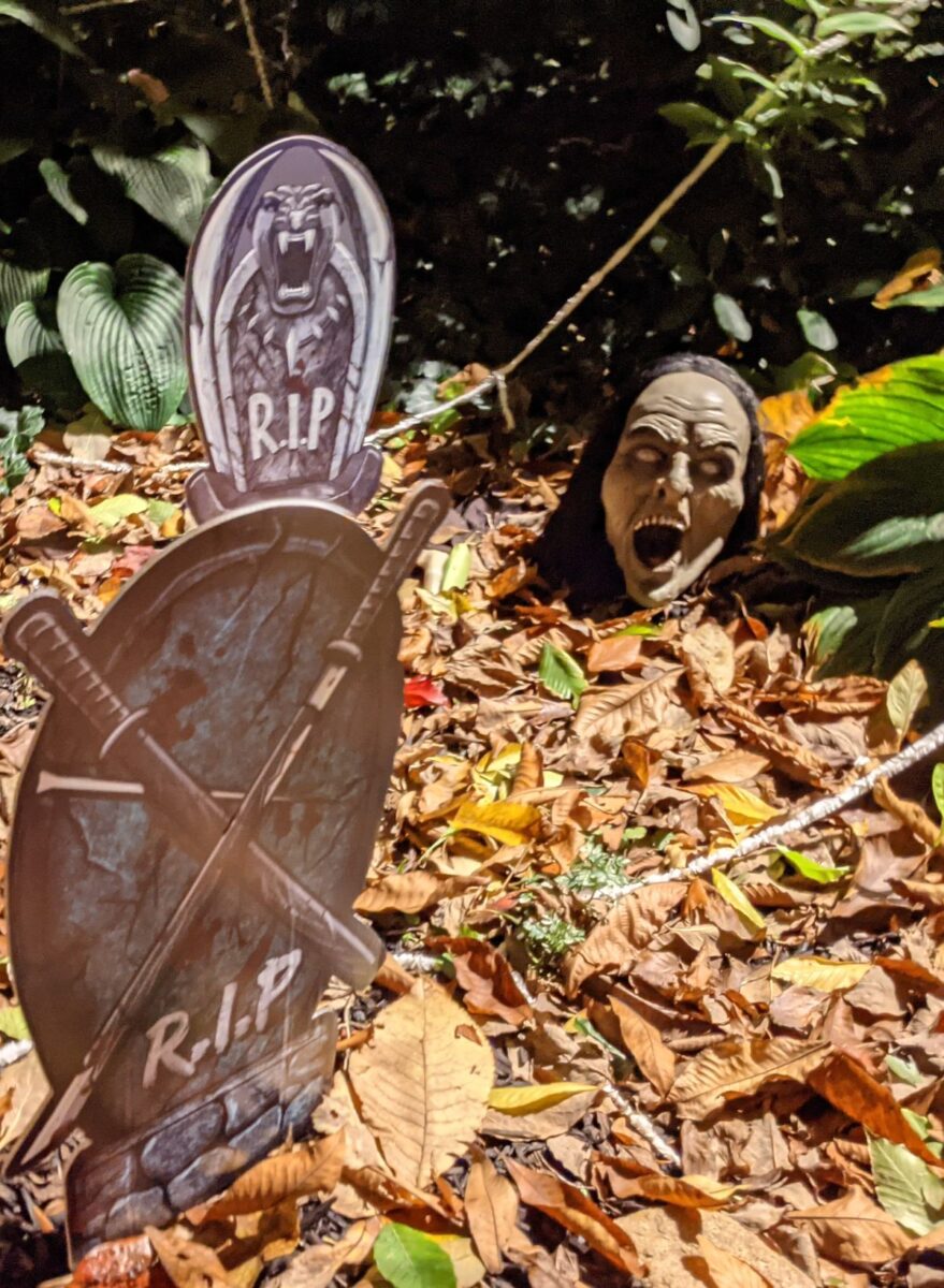 Spooky Garden | 9 Creepy Haunted Outdoor Décor Ideas - Bunny's Garden