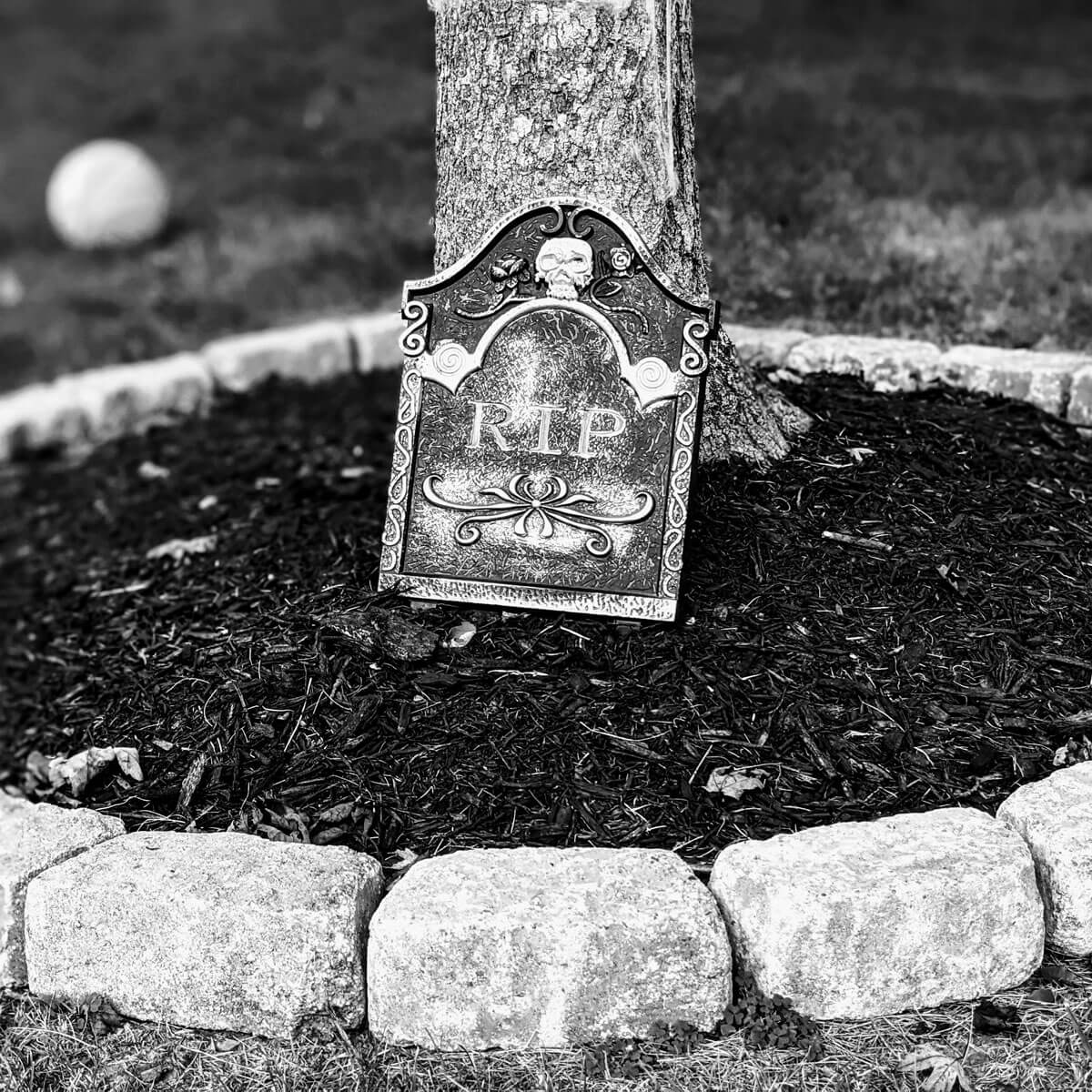 Spooky Garden | 9 Creepy Haunted Outdoor Décor Ideas - Bunny's Garden