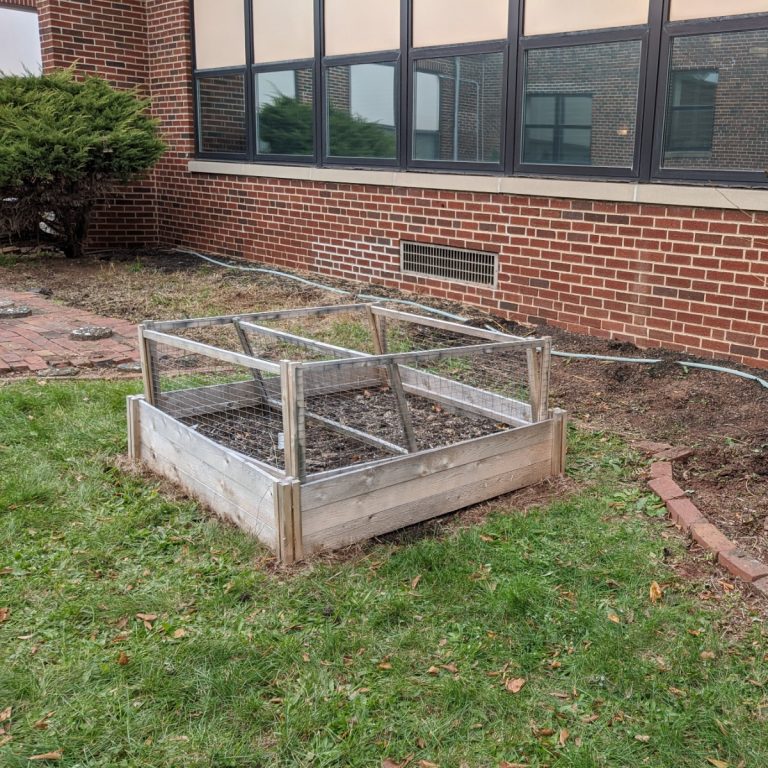 School Gardening Club Activities: Curriculum for All Seasons - Bunny's ...