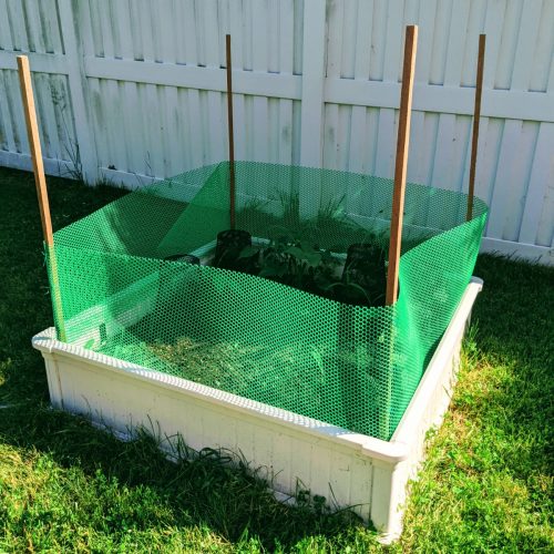 Raised Garden Stake Fence (4x4 and more): Food-Safe, Easy DIY - Bunny's ...