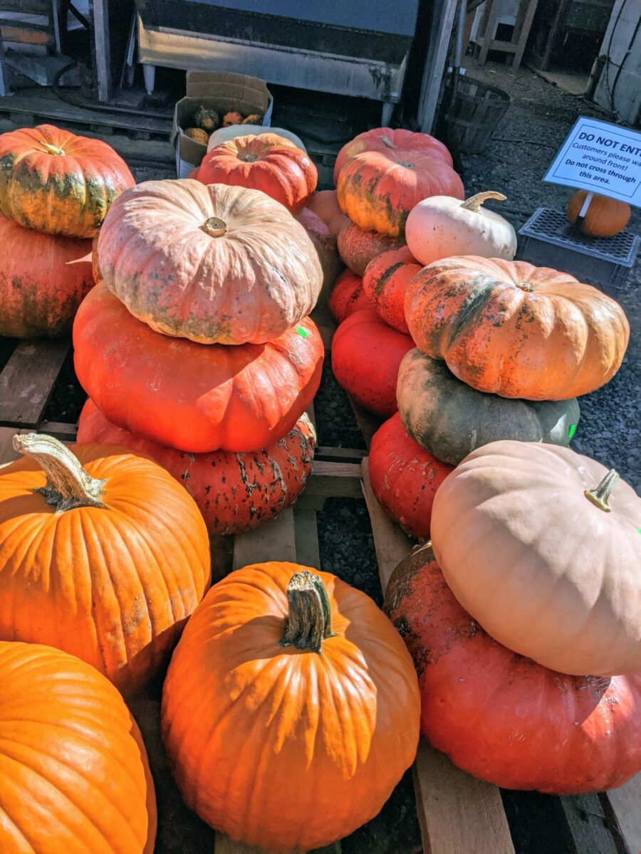 Stacked Pumpkins & Other Gorgeous Fall Porch Décor - Bunny's Garden