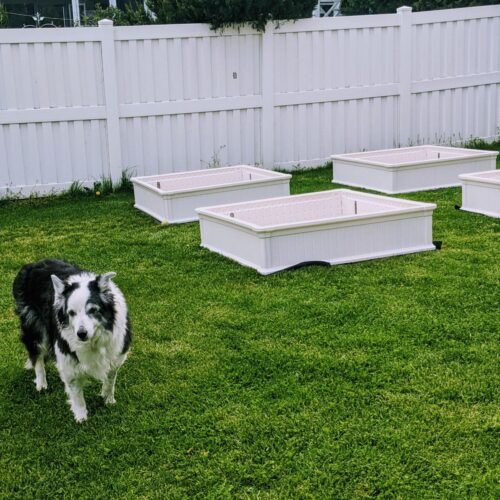 Giantex White Raised Garden Beds – HDPE Garden Boxes