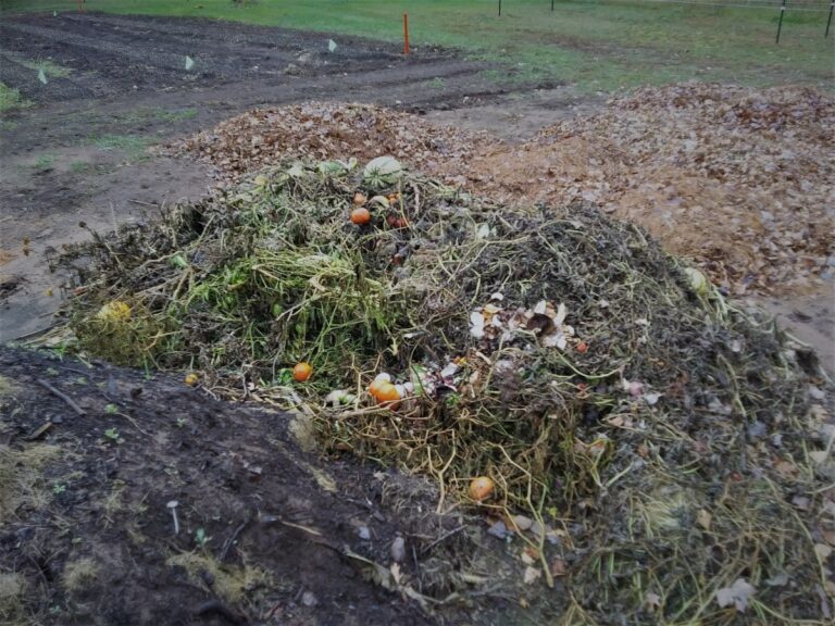 Composting Do's and Don'ts - 7 Gardeners Share Their Best Tips - Bunny ...