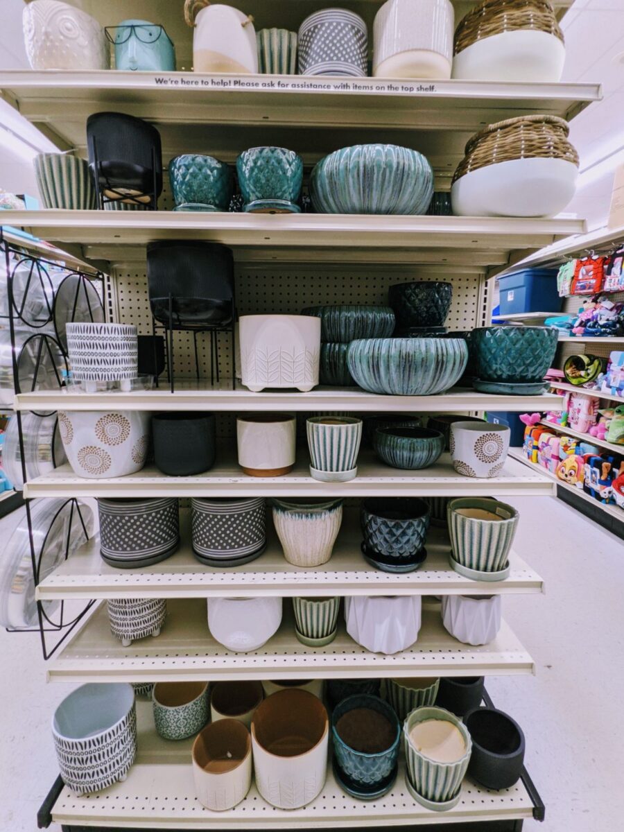 Big Lots Gardening Products and Deals - Bunny's Garden