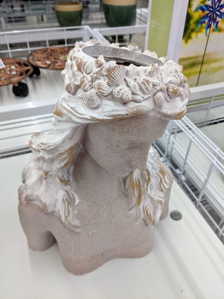 Head Planters – Ideas for Indoor and Outdoor Face Planters