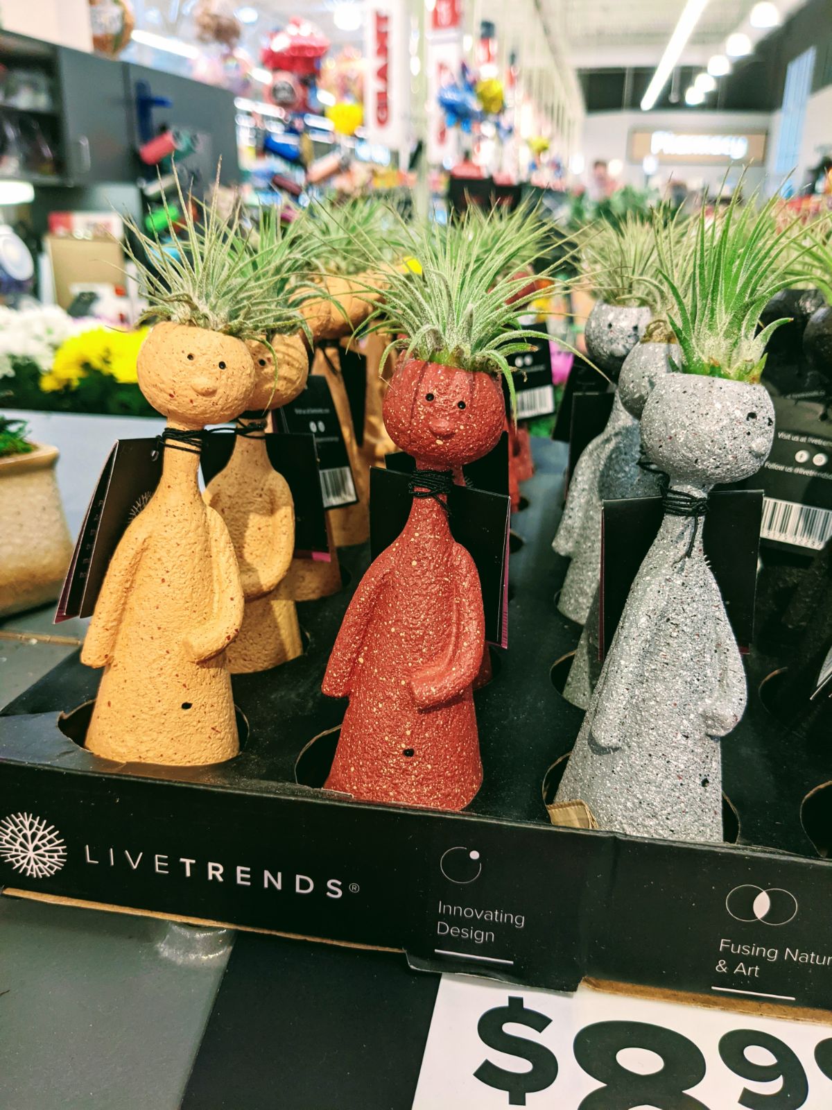 Head Planters – Ideas for Indoor and Outdoor Face Planters
