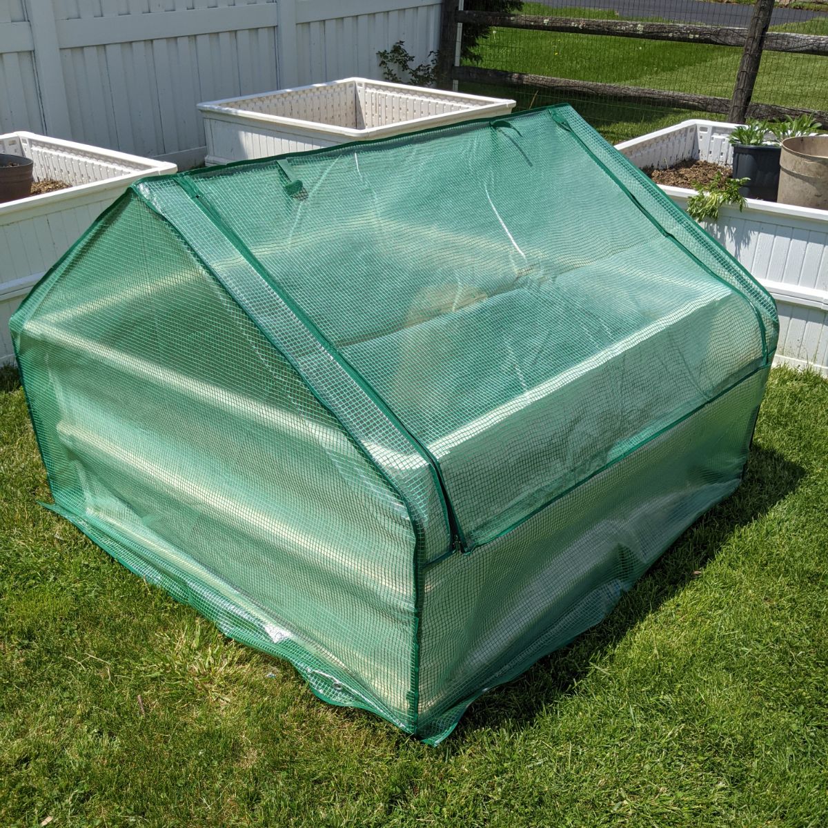 Aldi Drop Over Greenhouse (Raised Bed Covers) Review - Bunny's Garden